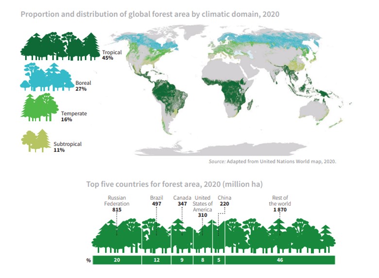 SC’s Interim Order on the Forest Conservation Act 2023