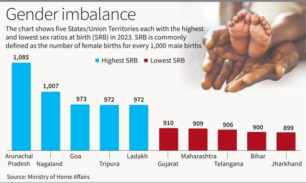 India’s Vital Statistics Report 2023